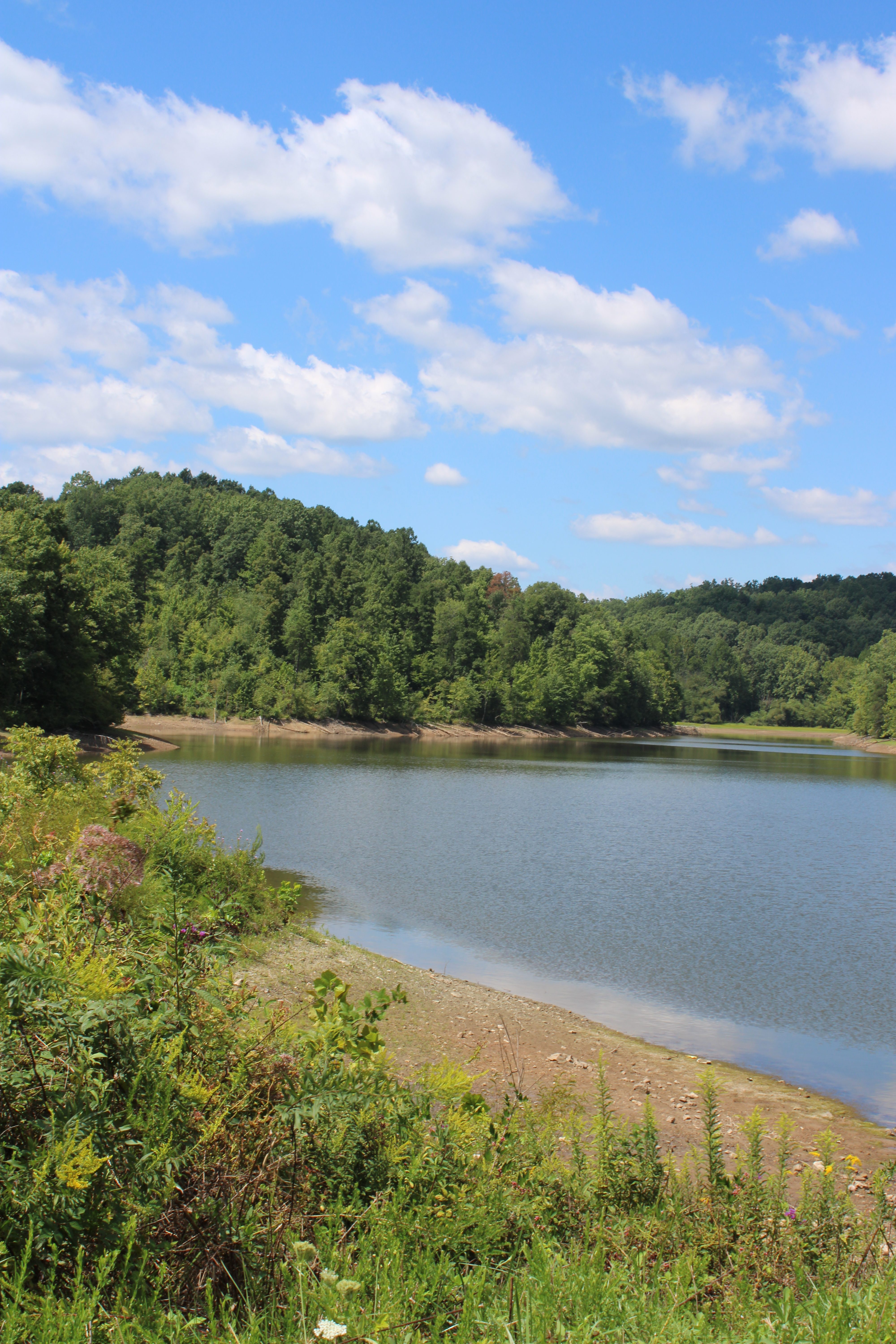 Opening up Olive Hill